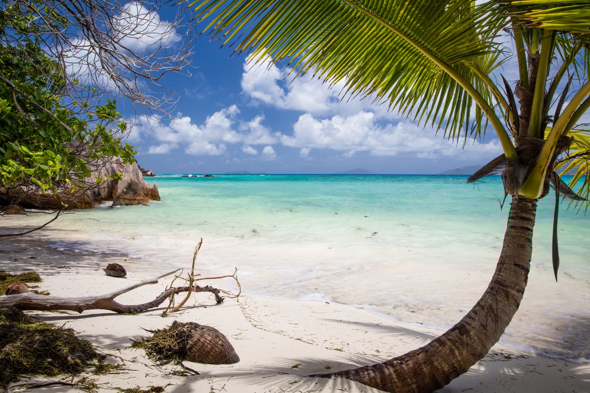 Offre Nouvelle Année Sunsail